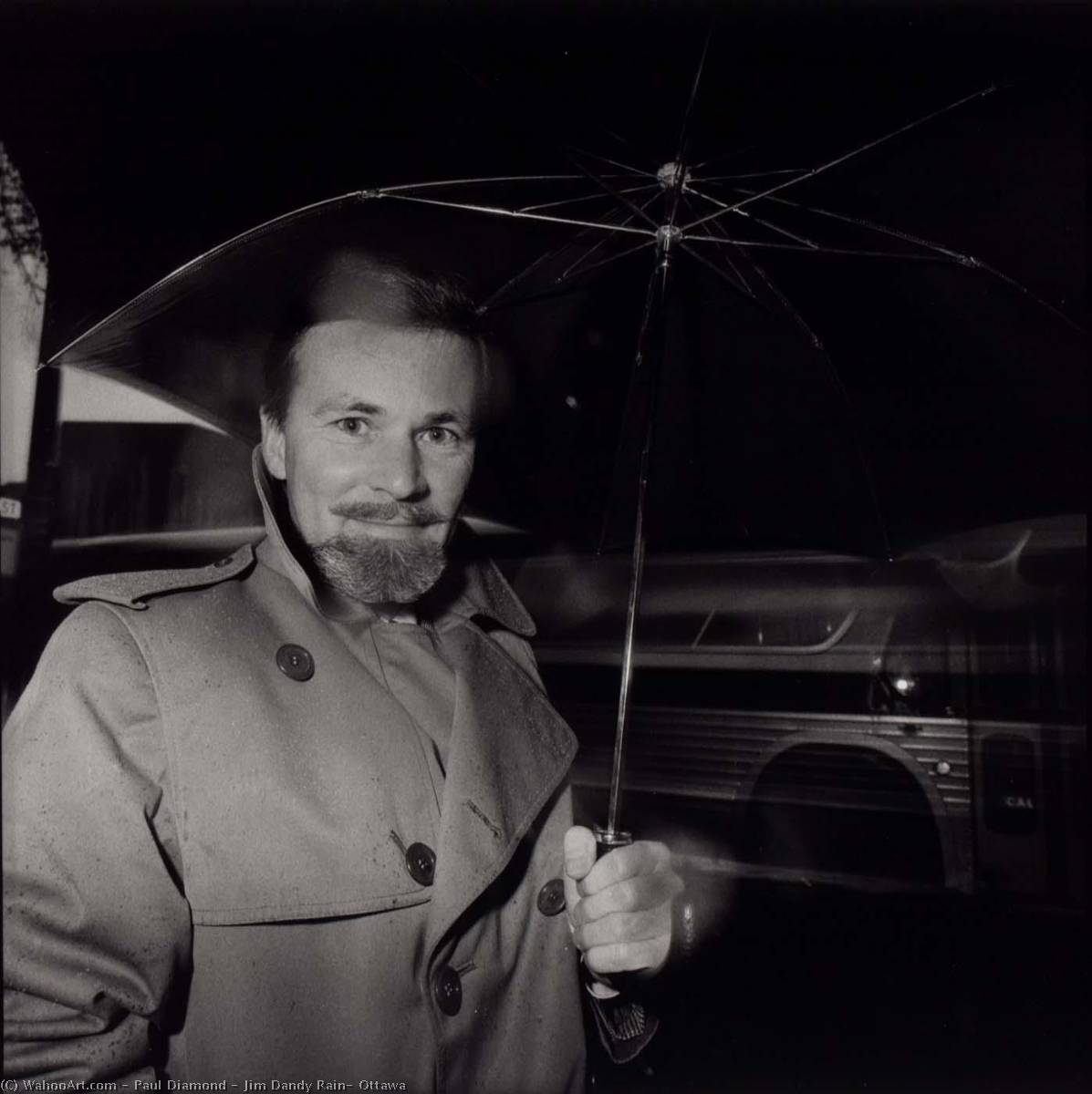 Jim Dandy Rain, Ottawa, 1976 by Paul Diamond (1942-2017) Paul Diamond ...