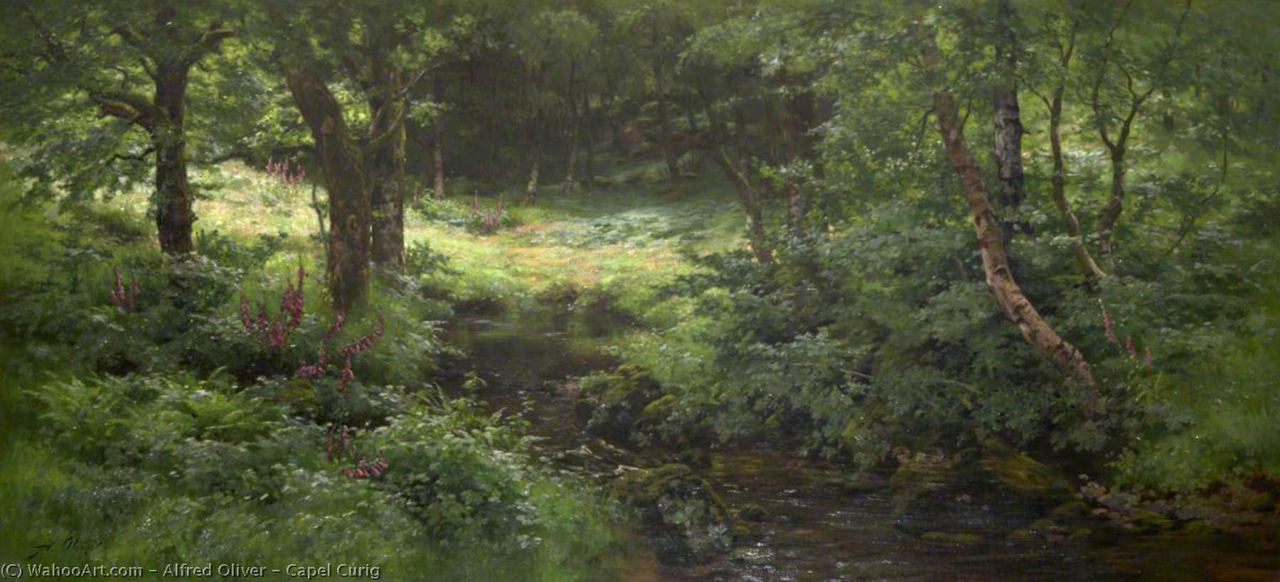 Acheter Reproductions D'art De Musée Capel Curig de Alfred Oliver (1868 ...