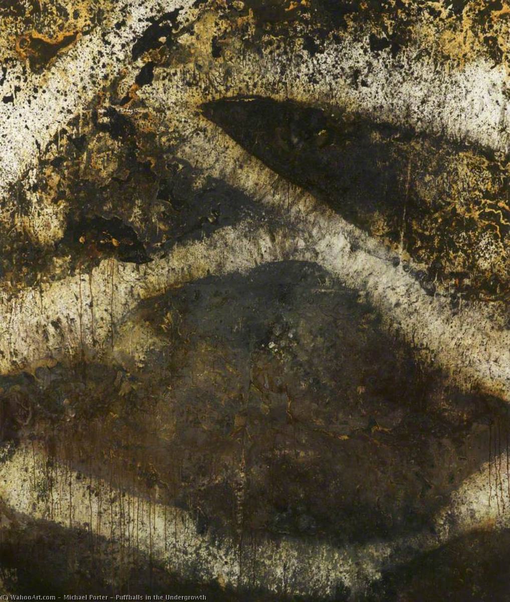 Puffballs in the Undergrowth, 1990 by Michael Porter Michael Porter ...