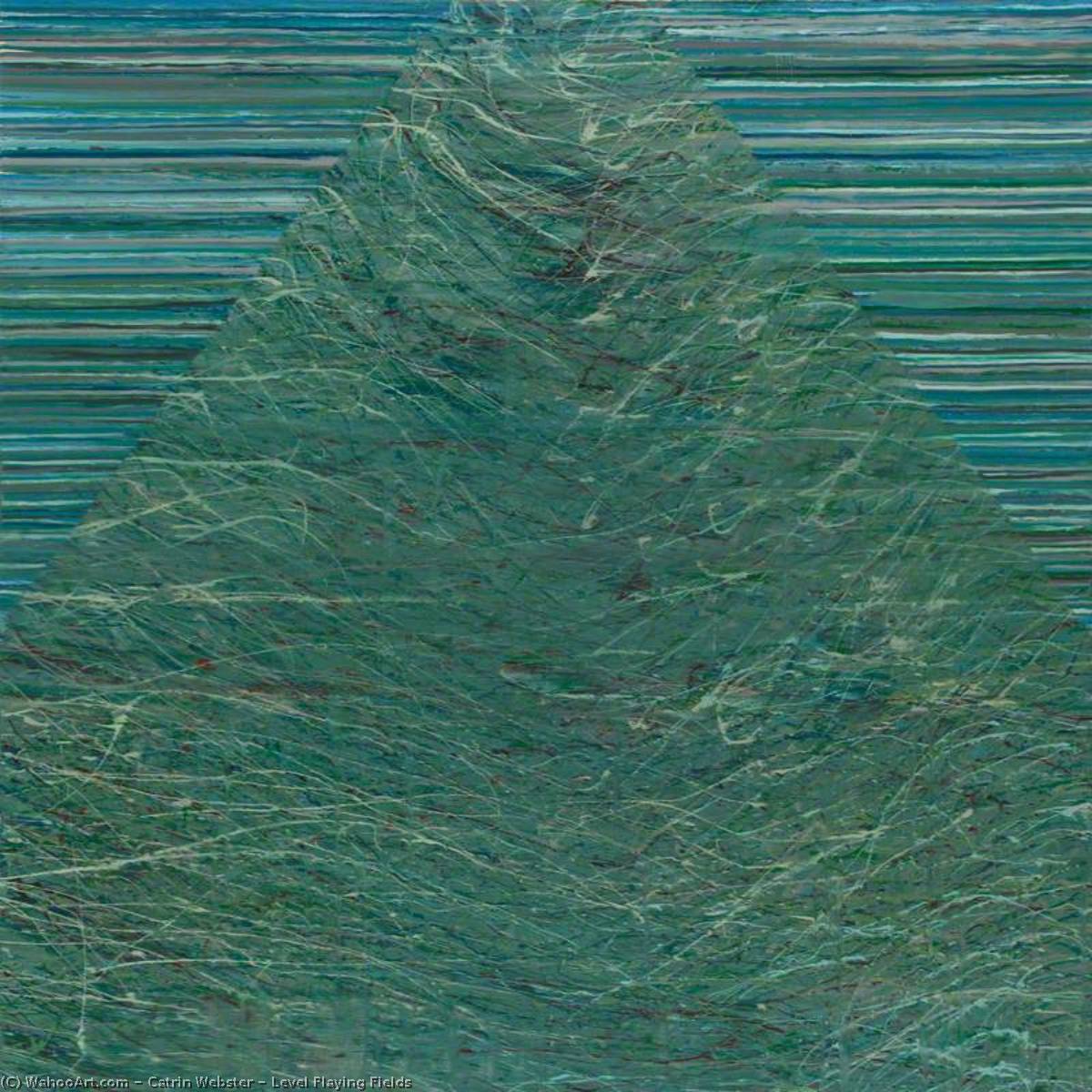 Level Playing Fields, 1996 by Catrin Webster Catrin Webster | ArtsDot.com