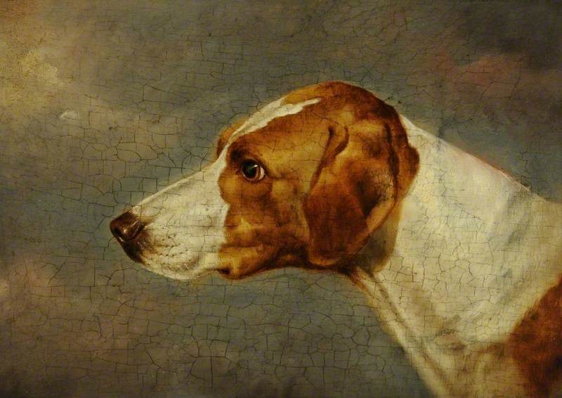 狗的头 通过 Martin Theodore Ward Martin Theodore Ward | ArtsDot.com