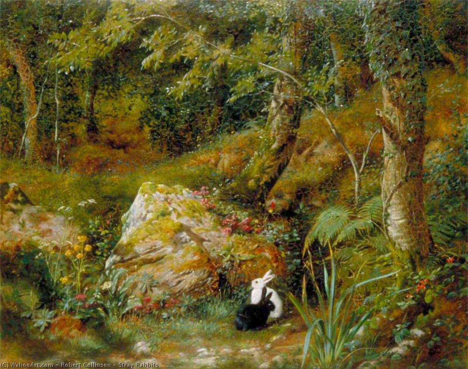 Stray Rabbits, 1857 by Robert Collinson Robert Collinson | ArtsDot.com