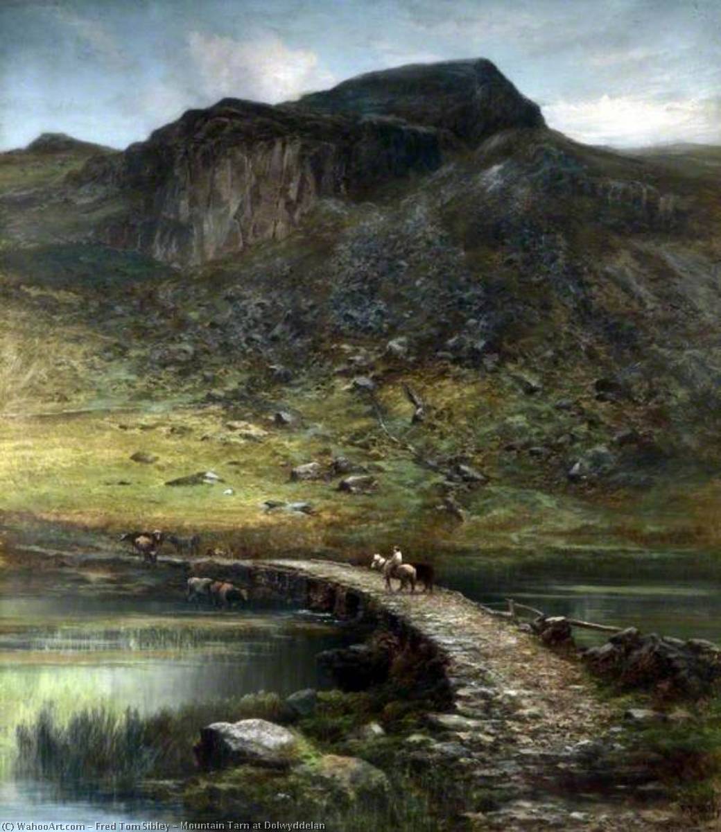 Mountain Tarn at Dolwyddelan, 1900 by Fred Tom Sibley Fred Tom Sibley ...
