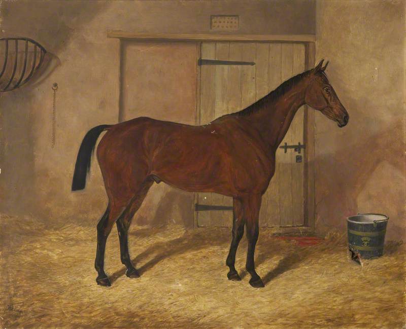 `Carrick`, a Bay Hunter in a Stable, 1901 by Herbert D Atkinson Herbert ...
