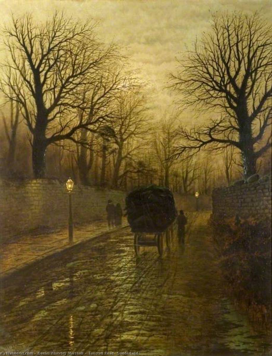 Tunstall Road, Sunderland, 1888 by Daniel Whiteley Marshall Daniel ...