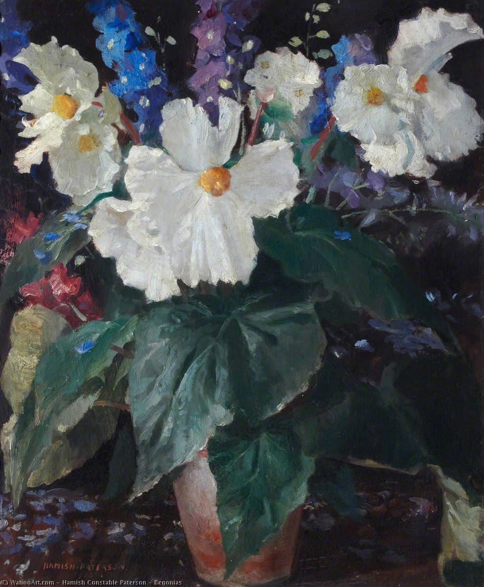 Begonias, 1930 by Hamish Constable Paterson Hamish Constable Paterson ...