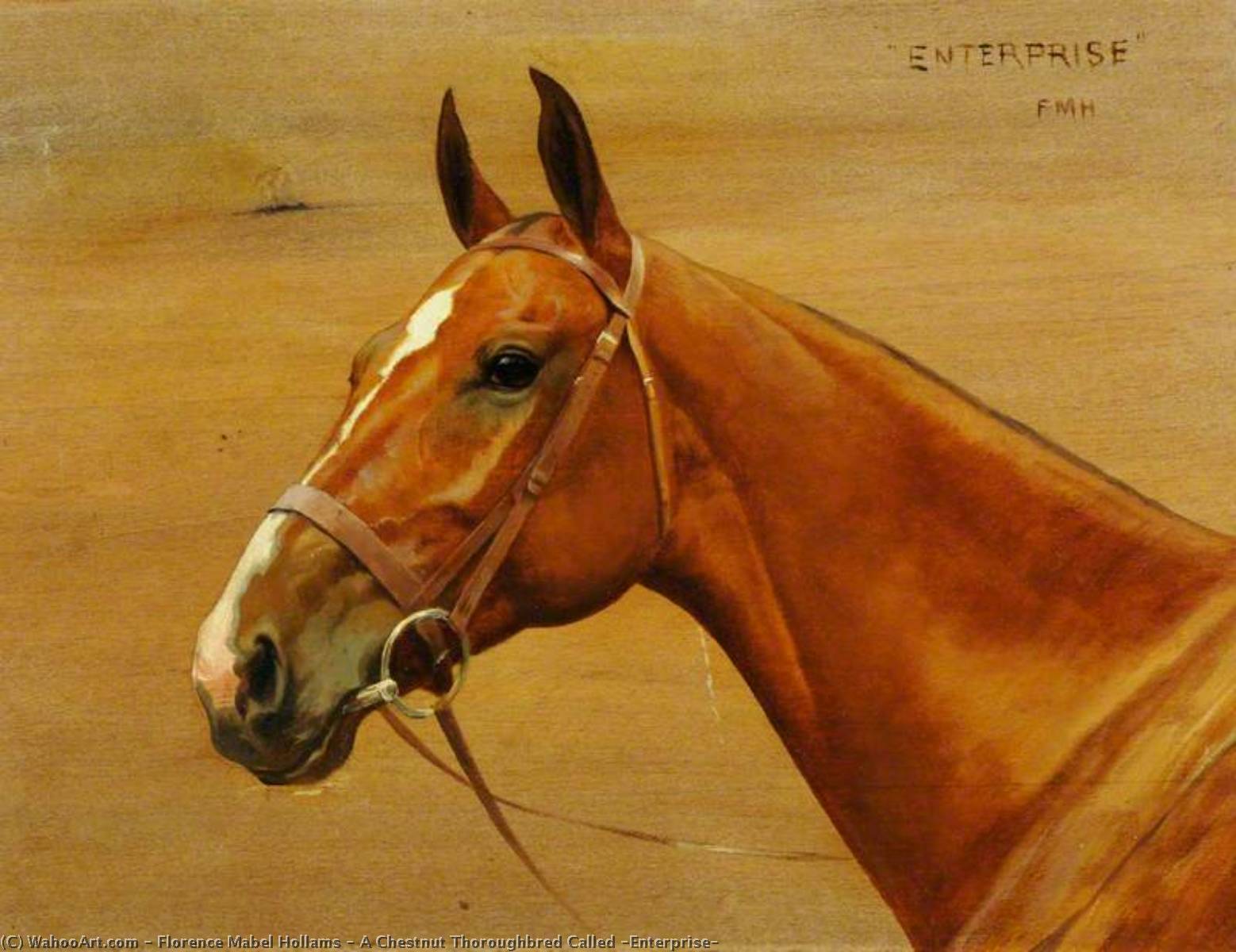 A Chestnut Thoroughbred Called Enterprise By Florence Mabel Hollams