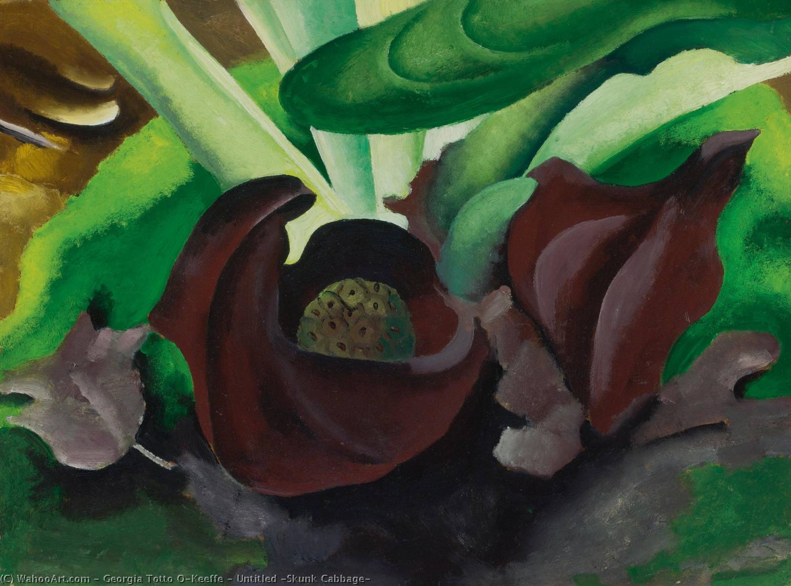 Get Art Reproductions Untitled (Skunk Cabbage) by Georgia Totto O ...