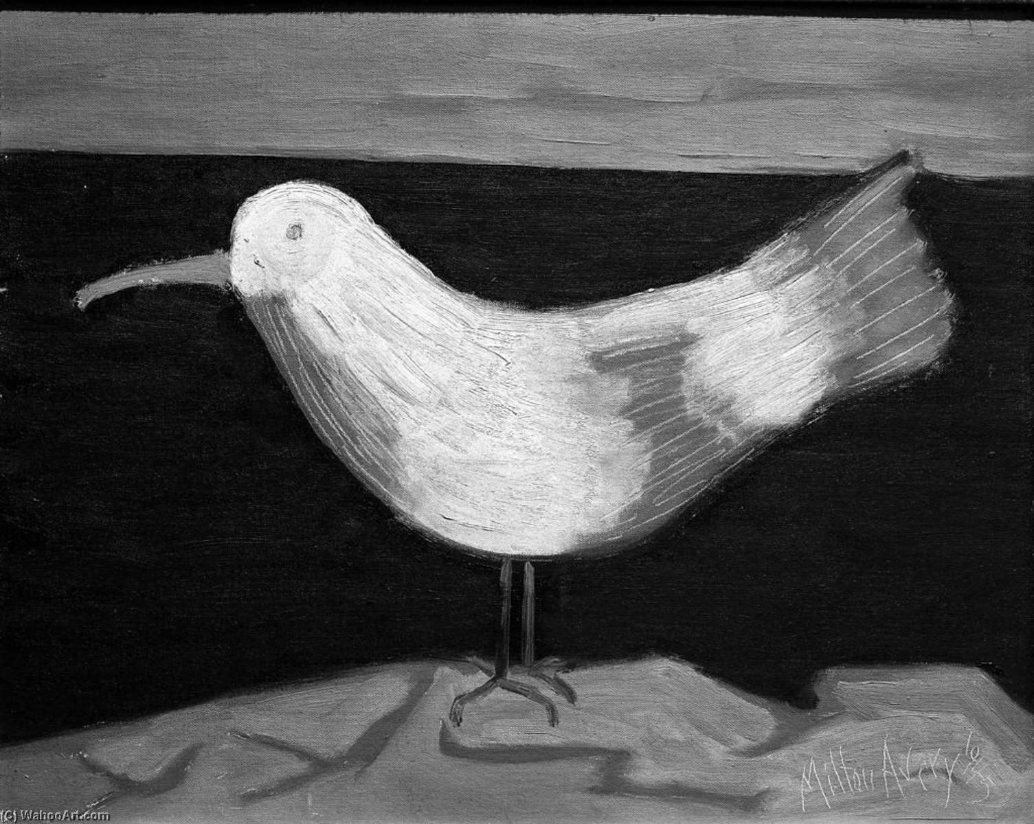 Get Paintings Reproductions Bird, 1945 by Milton Avery (Inspired By ...