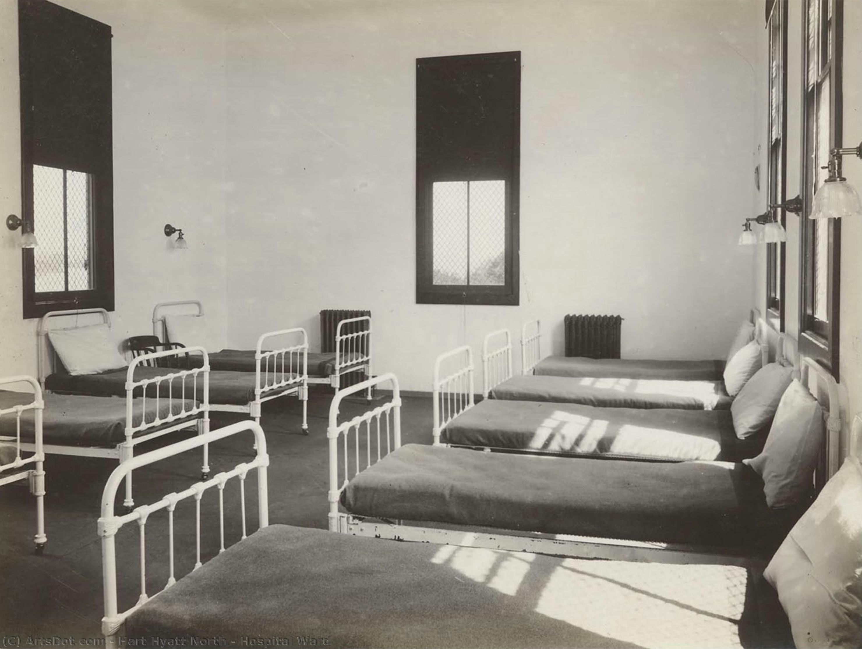 Order a print of Hospital Ward - Hart Hyatt North
